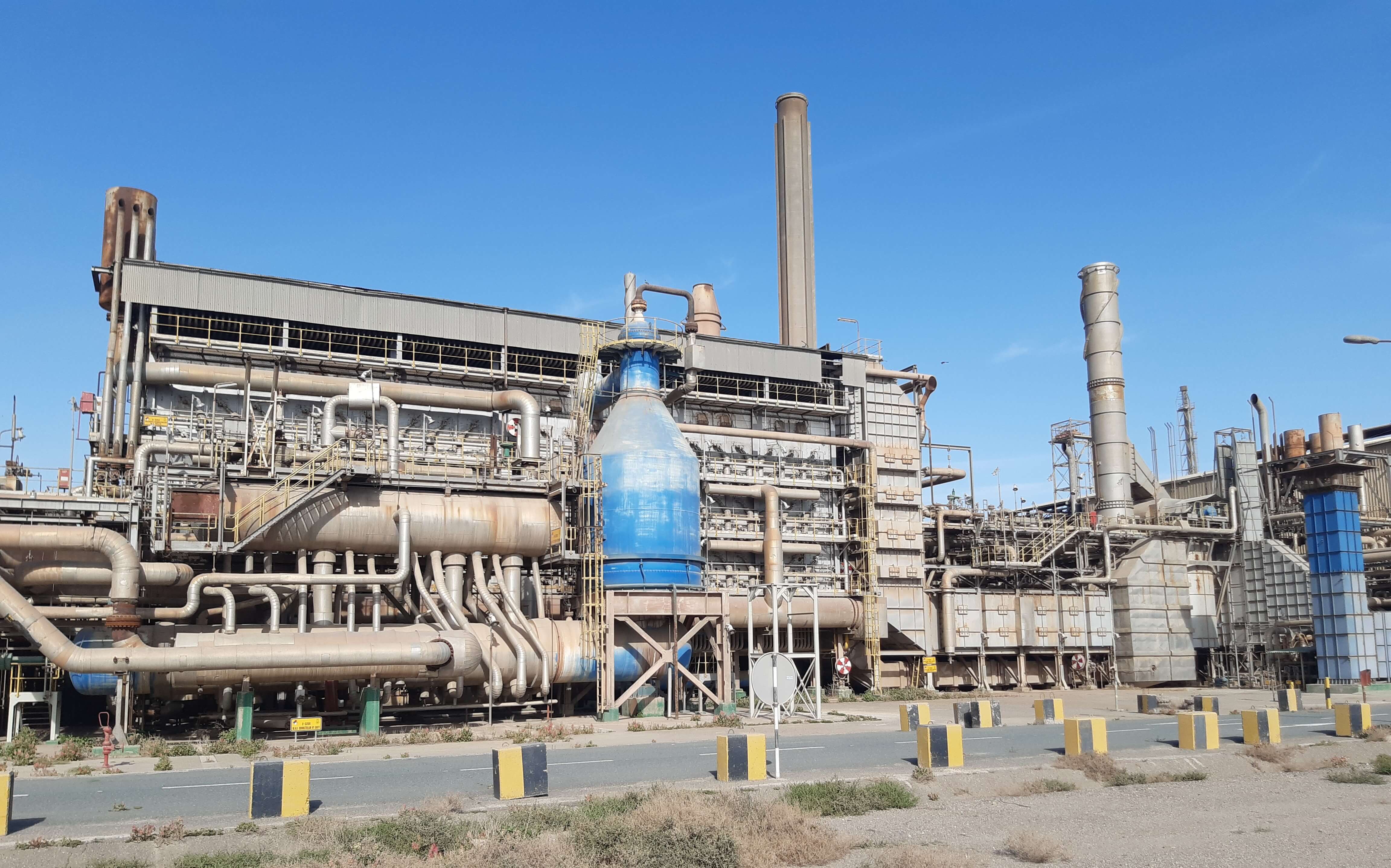 NBTC Plant Sales - Official Website