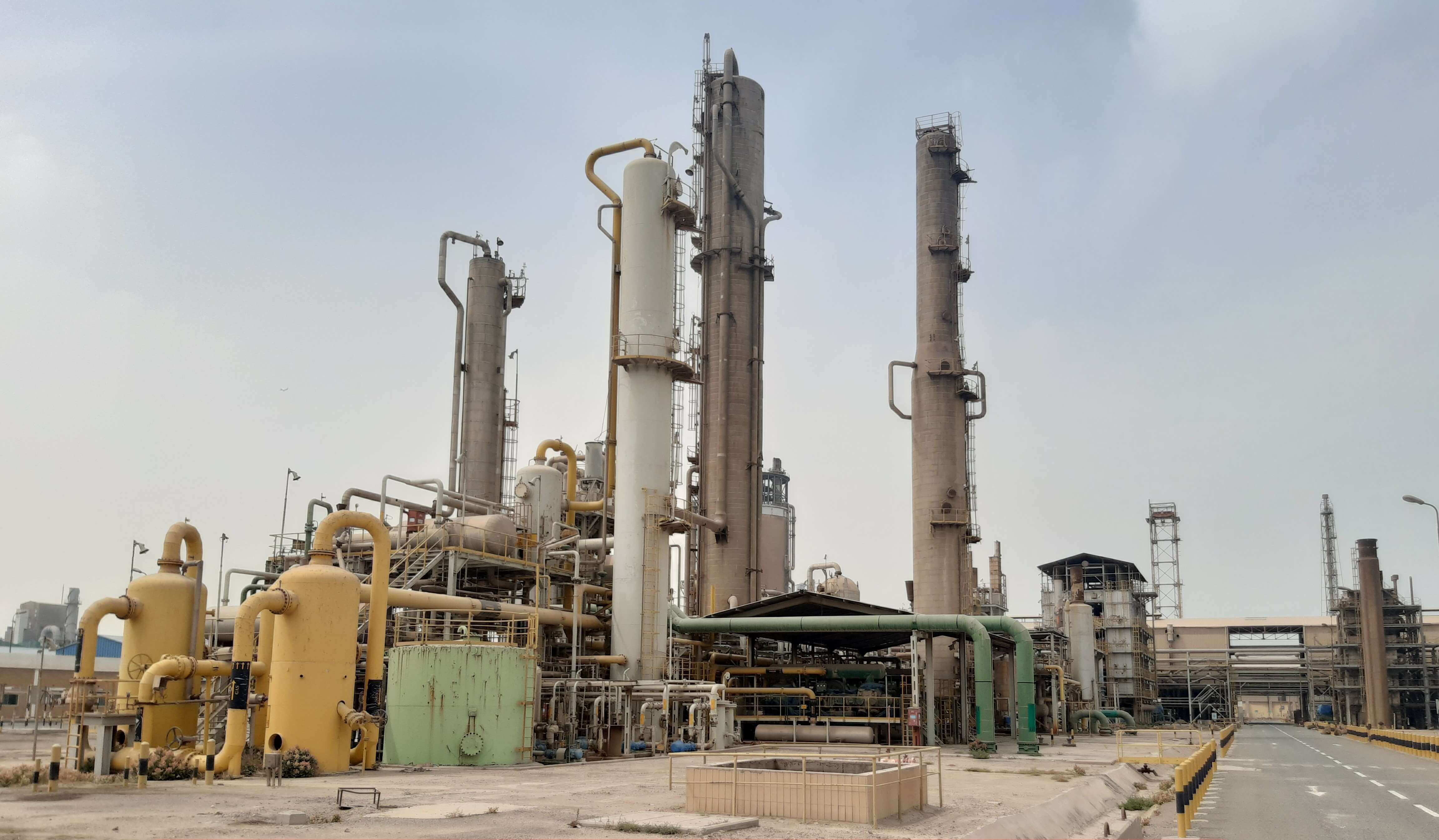 NBTC Plant Sales - Official Website