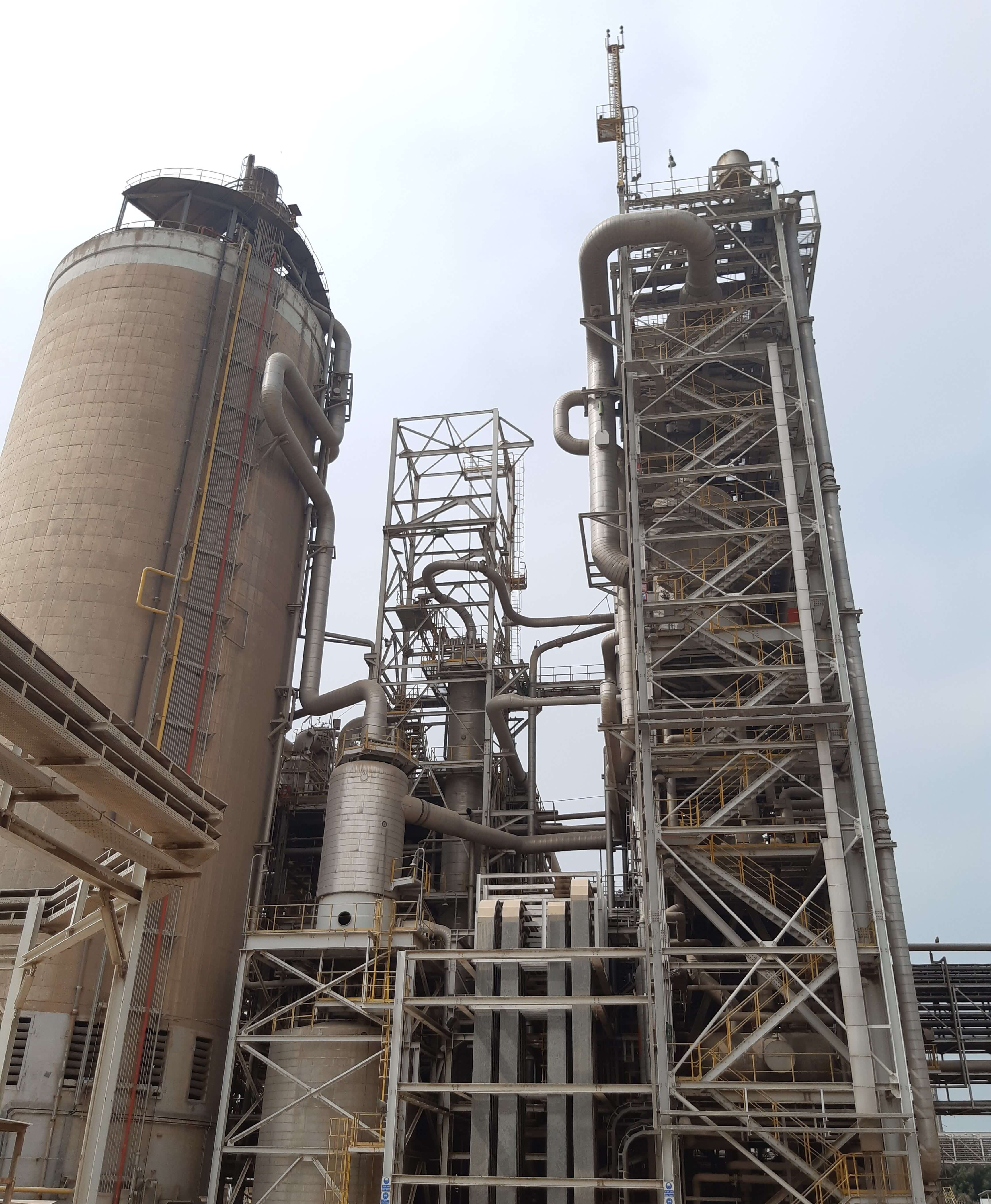 NBTC Plant Sales - Official Website